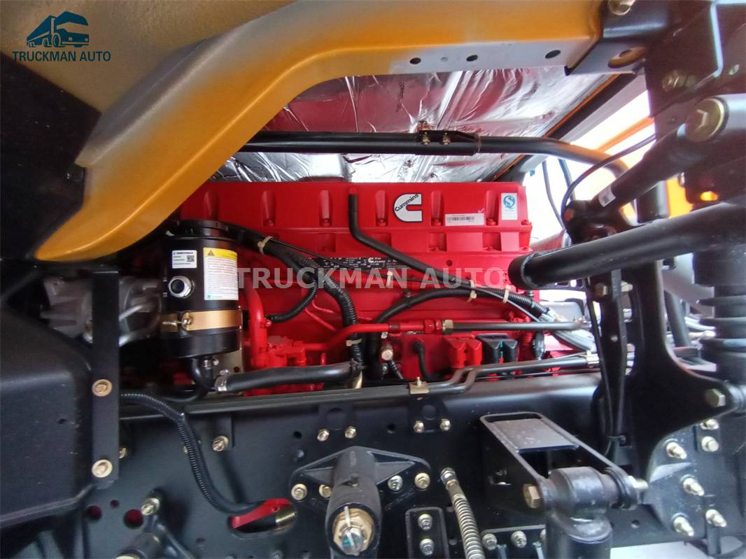 10 Wheel SHACMAN F3000 Mining Dump Truck For Zambia