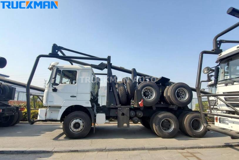 SHACMAN F3000 Log Truck Delivery To Cameroon