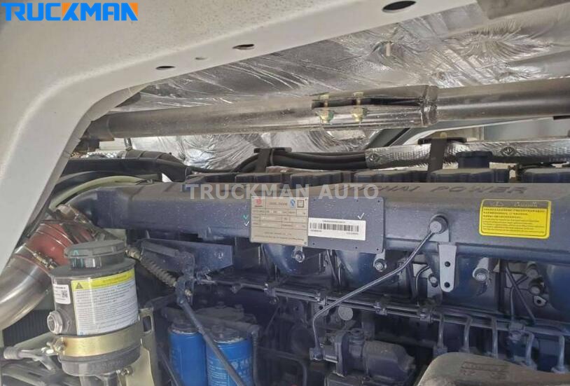 SHACMAN F3000 Log Truck Delivery To Cameroon