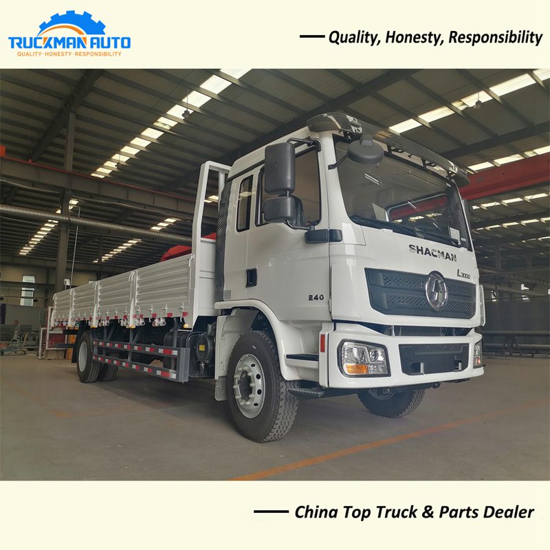 SHACMAN L3000 4x2 Cargo Truck